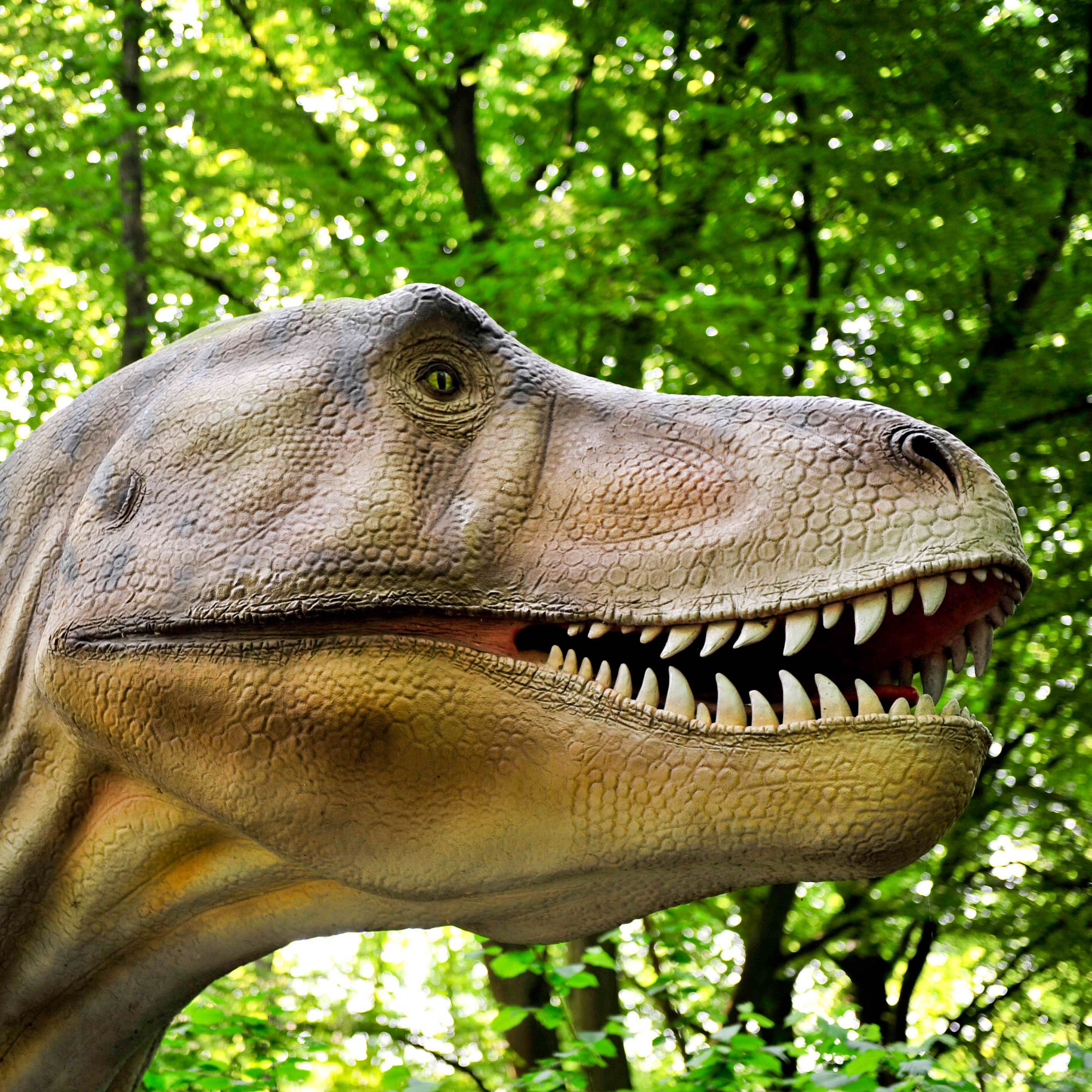 Ben jij klaar voor jouw avontuur als dinobeveiliger? - DierenPark ...