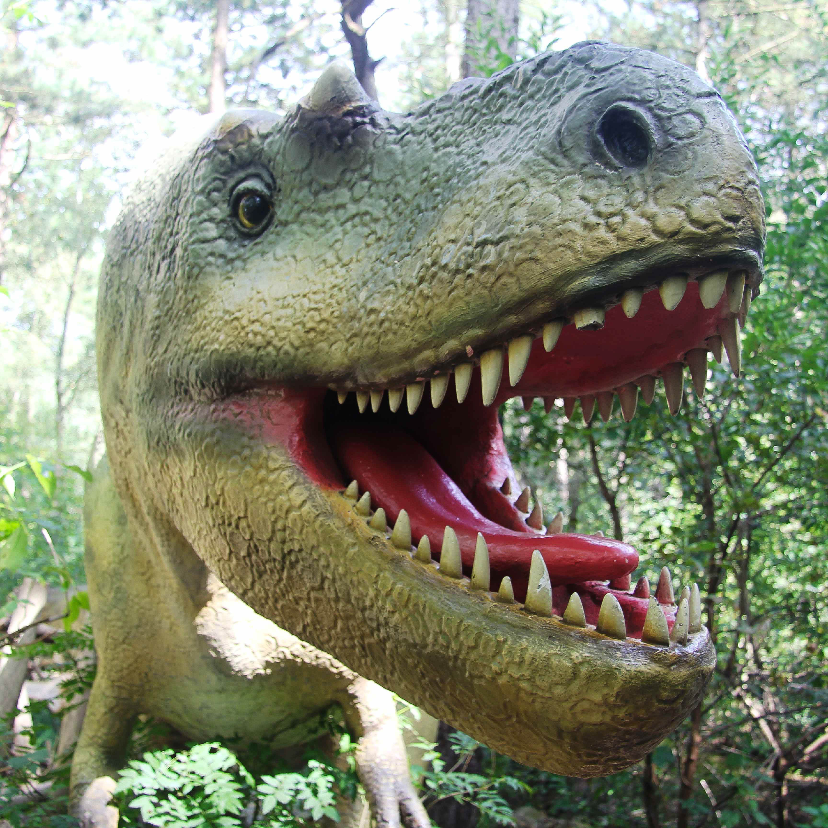 Ben jij klaar voor jouw avontuur als dinobeveiliger? - DierenPark ...