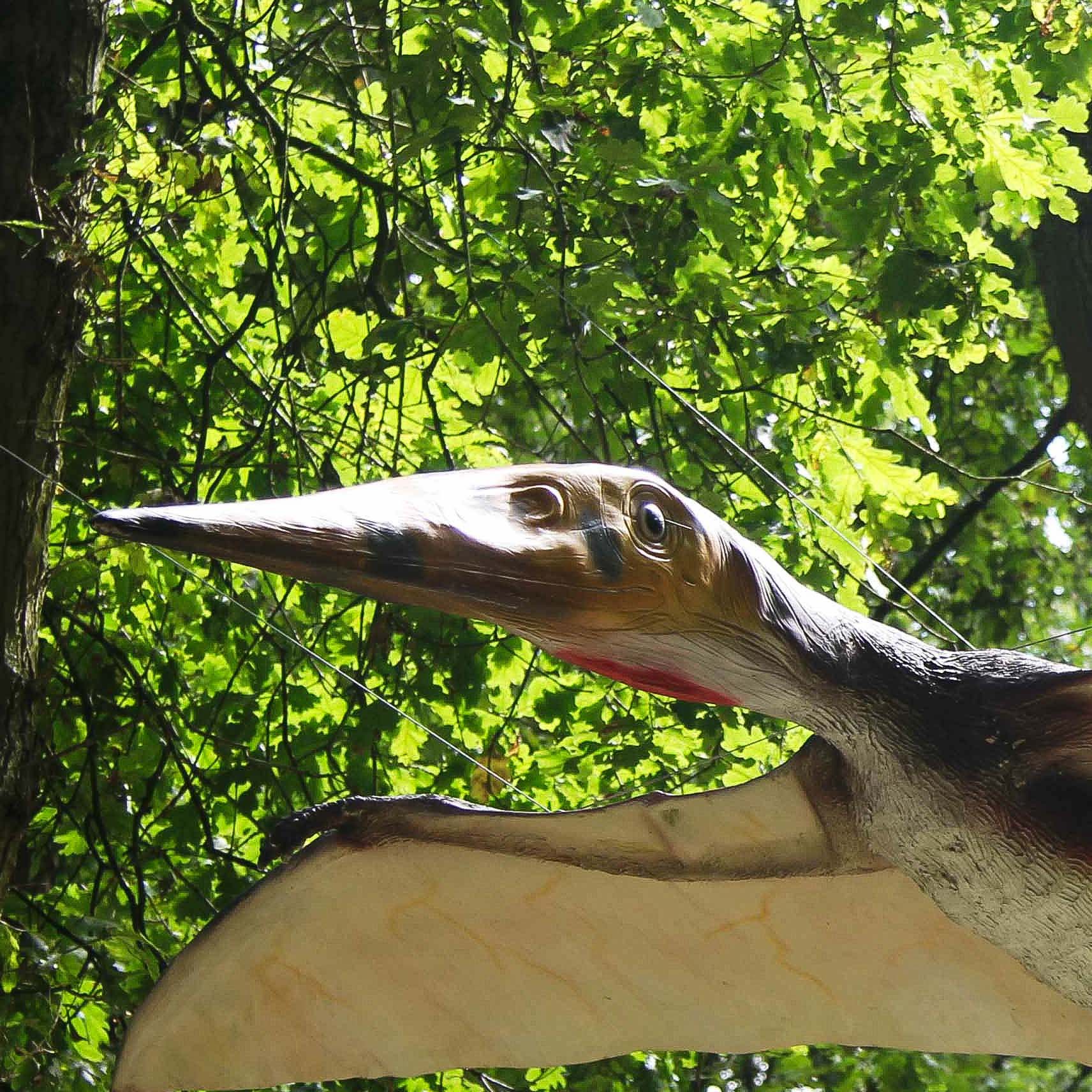 Ben jij klaar voor jouw avontuur als dinobeveiliger? - DierenPark ...