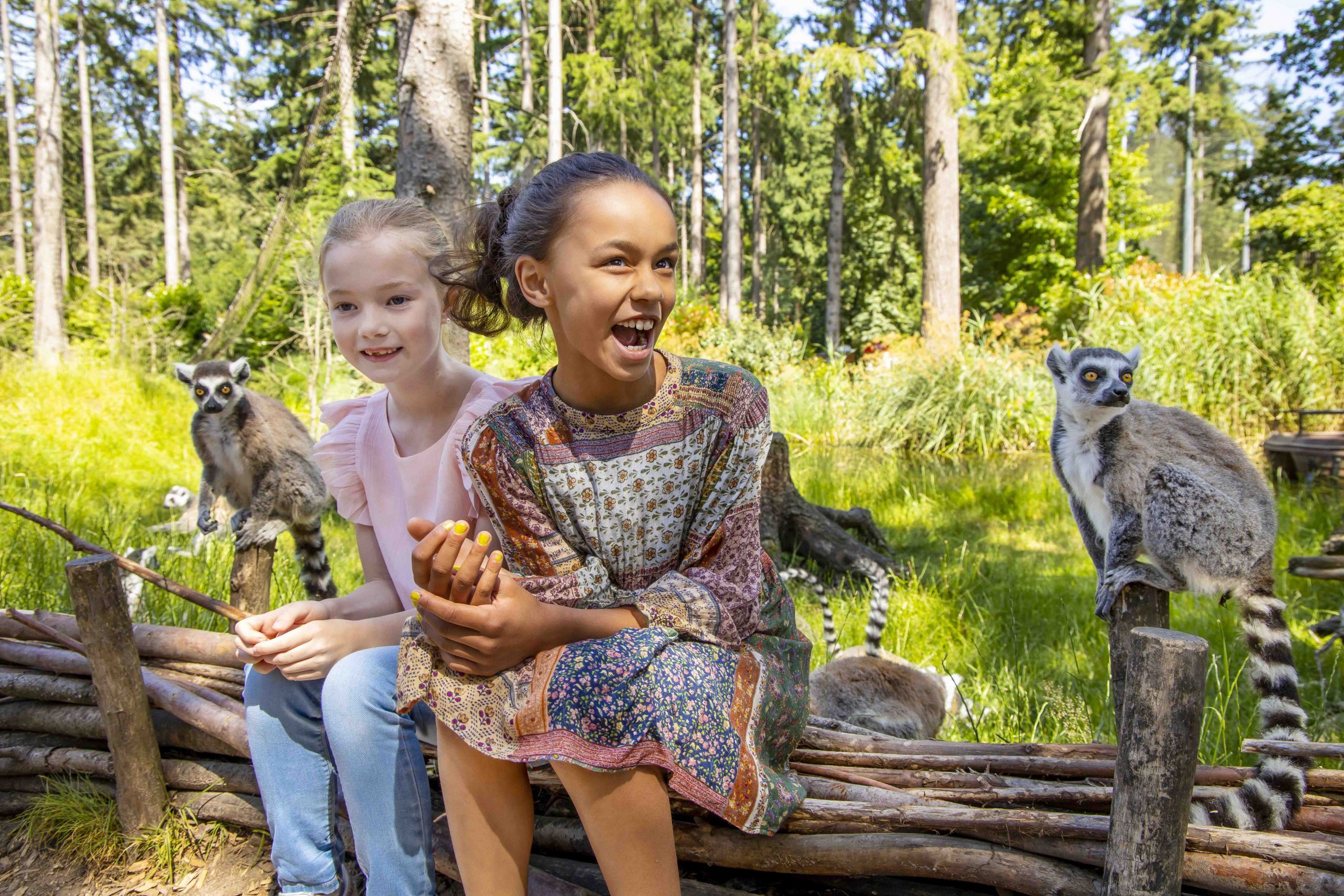 Gesloten: leden Kinderpanel | DierenPark Amersfoort