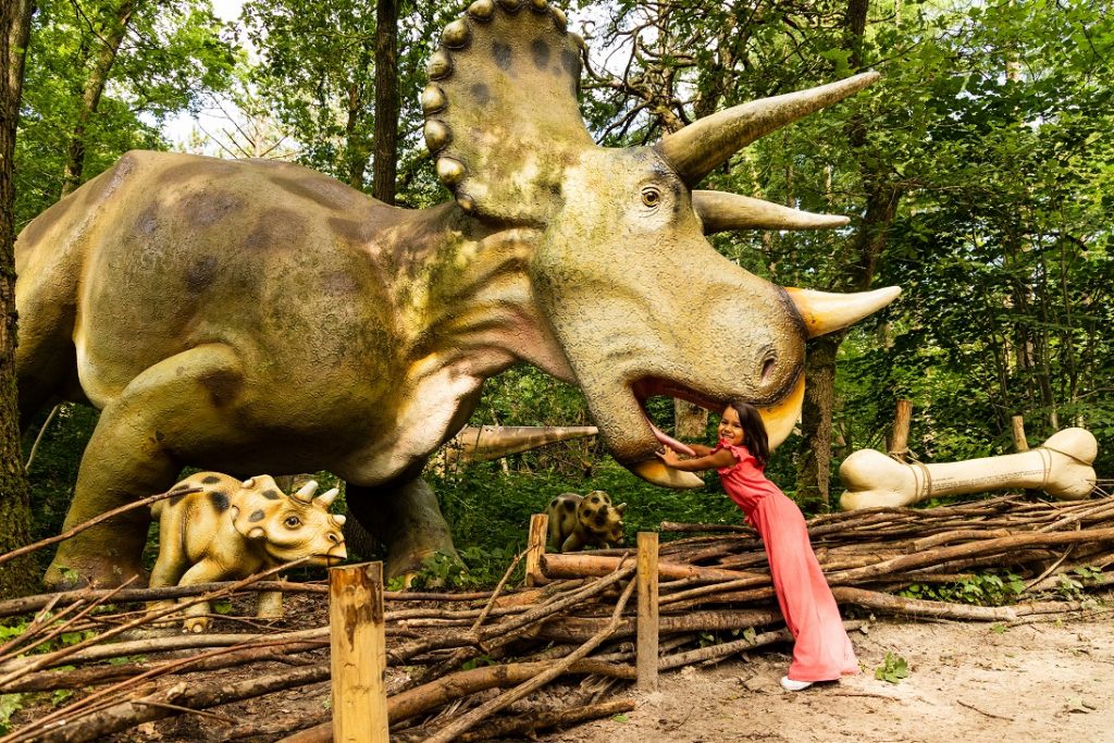 De wildste avonturen | Ontdek DierenPark Amersfoort