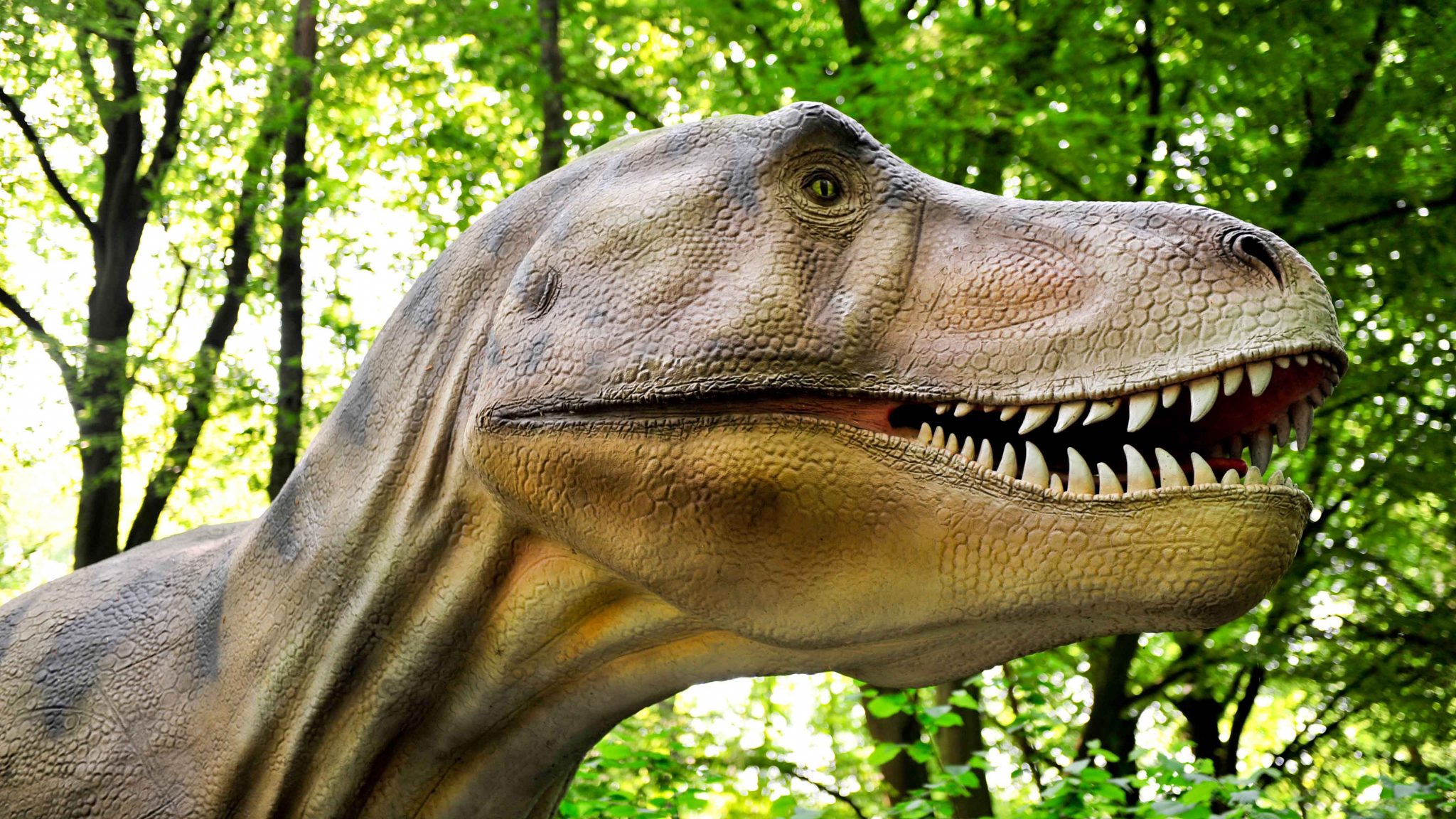 Ontmoet de dinobewoners | Blog Dinoranger Robin | DierenPark Amersfoort