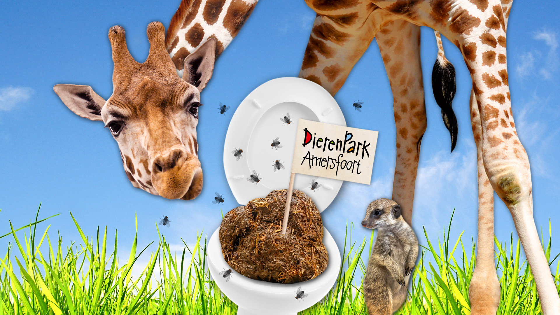 Ontdek DierenPark Amersfoort | Dé dierentuin voor kinderen