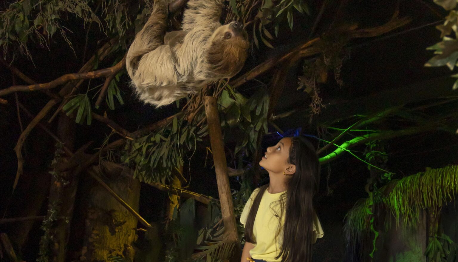 Ontdek dé dierentuin voor kinderen | DierenPark Amersfoort
