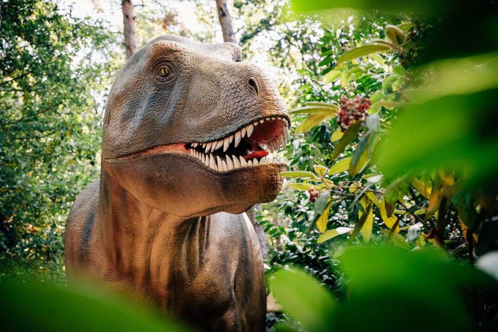 Alles over de tyrannosaurus rex | DierenPark Amersfoort