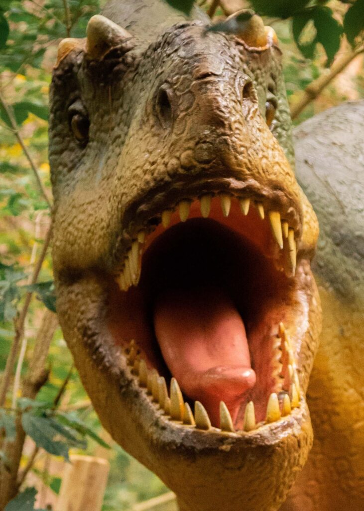 Pterodactylus | DierenPark Amersfoort