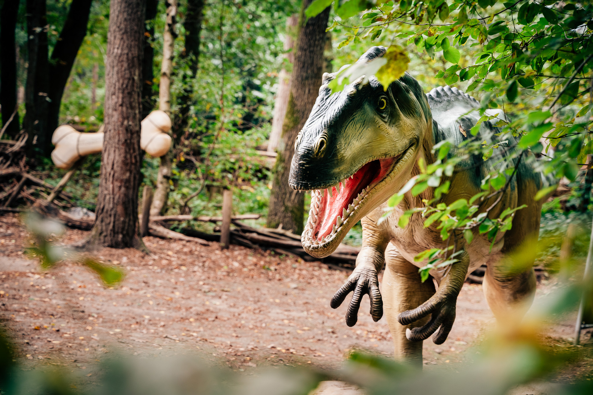 Alles over de allosaurus | DierenPark Amersfoort