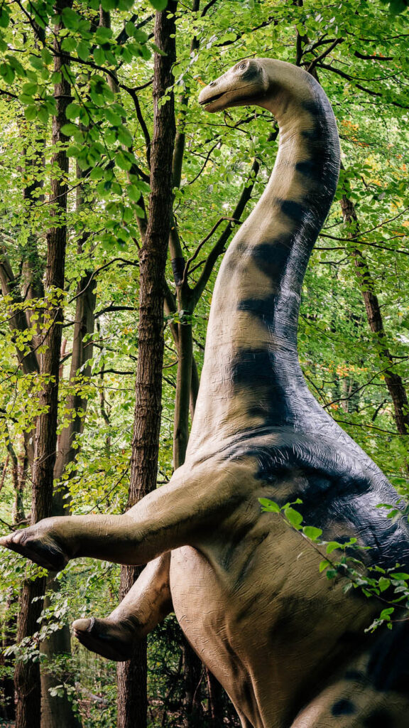 Pterodactylus | DierenPark Amersfoort