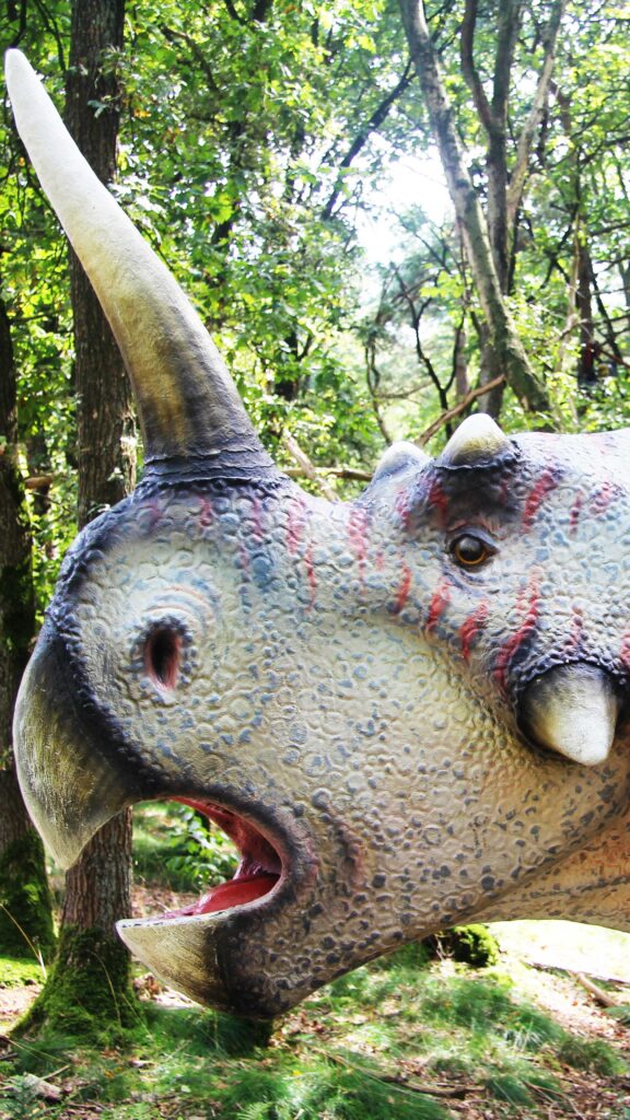 Pterodactylus | DierenPark Amersfoort