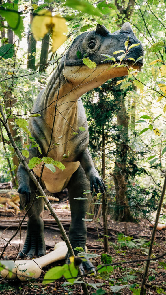 Ontmoet onze dino's | DierenPark Amersfoort