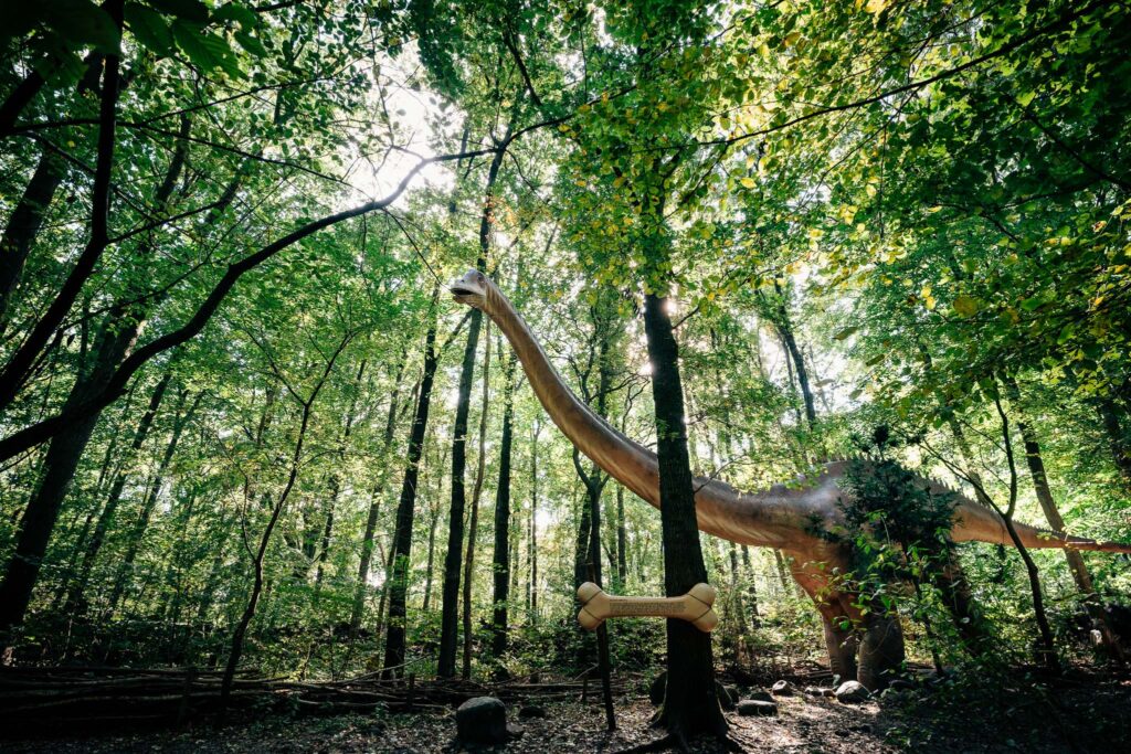 Alles over de diplodocus | DierenPark Amersfoort