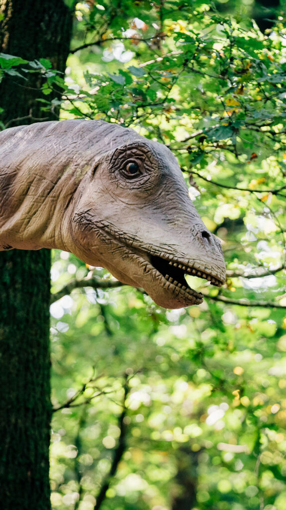 Pterodactylus | DierenPark Amersfoort