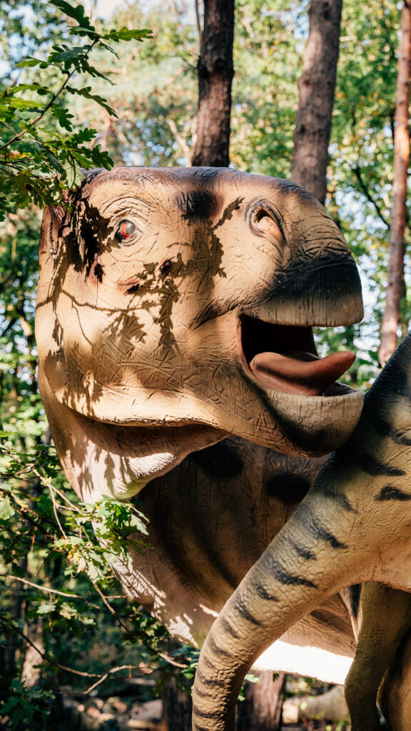 Pterodactylus | DierenPark Amersfoort