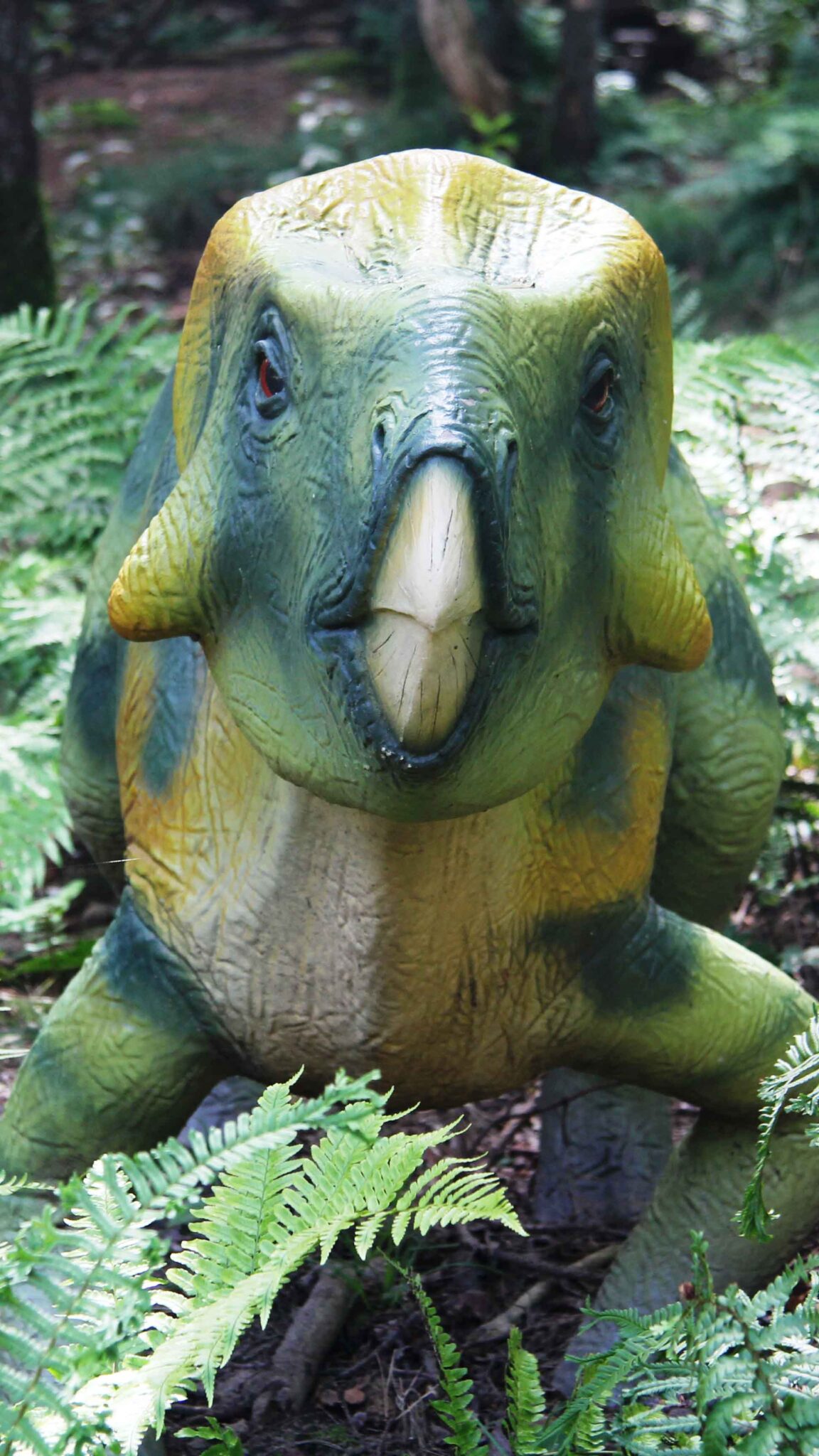 Alles over de tyrannosaurus rex | DierenPark Amersfoort