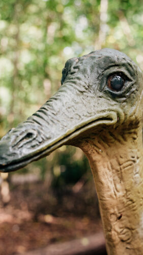 Pterodactylus | DierenPark Amersfoort
