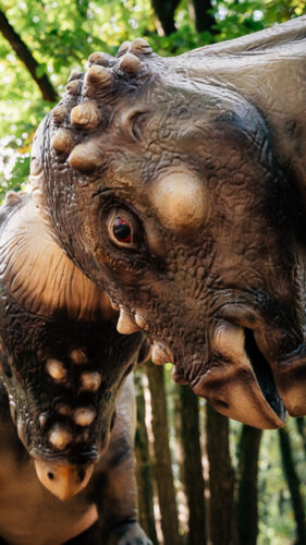 Pterodactylus | DierenPark Amersfoort