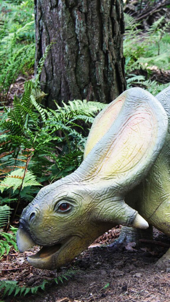 Pterodactylus | DierenPark Amersfoort