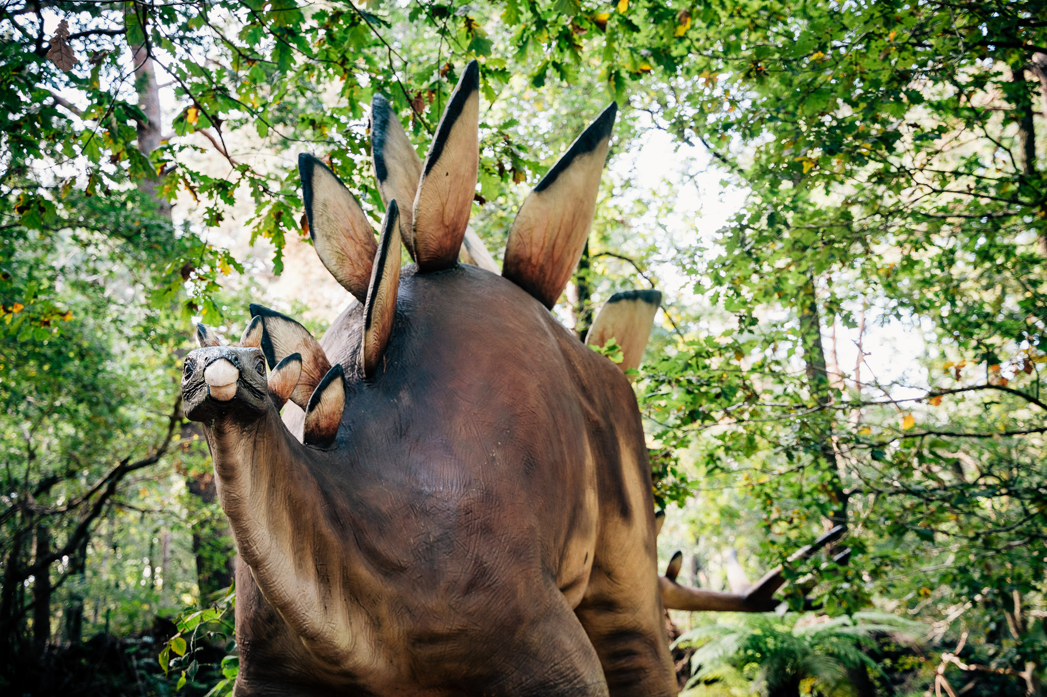 Dinosaurussen Stegosaurus