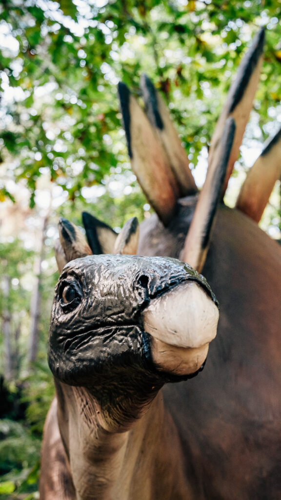Pterodactylus | DierenPark Amersfoort