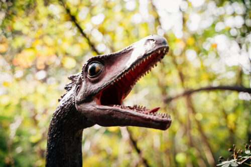 Alles over de troodon | DierenPark Amersfoort
