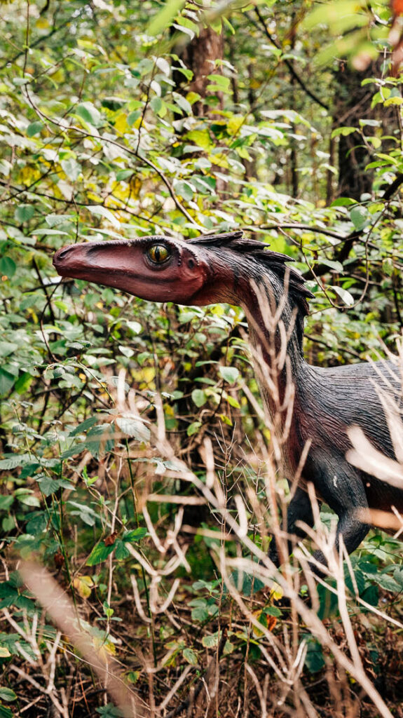 Ontmoet onze dino's | DierenPark Amersfoort