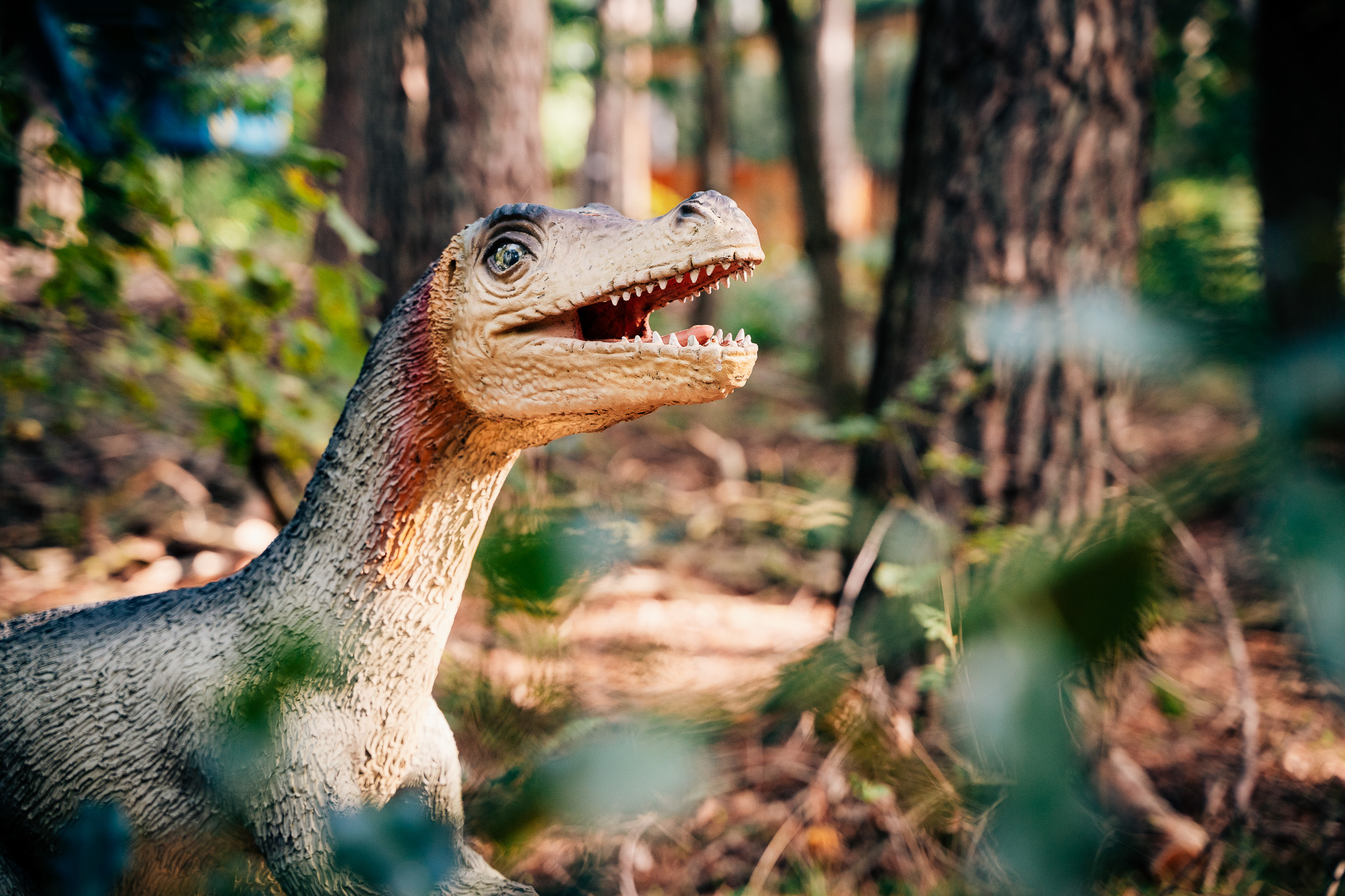 Dinosaur Velociraptor