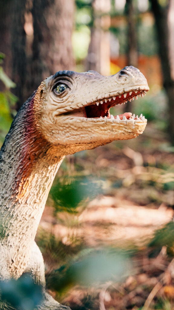 Pterodactylus | DierenPark Amersfoort