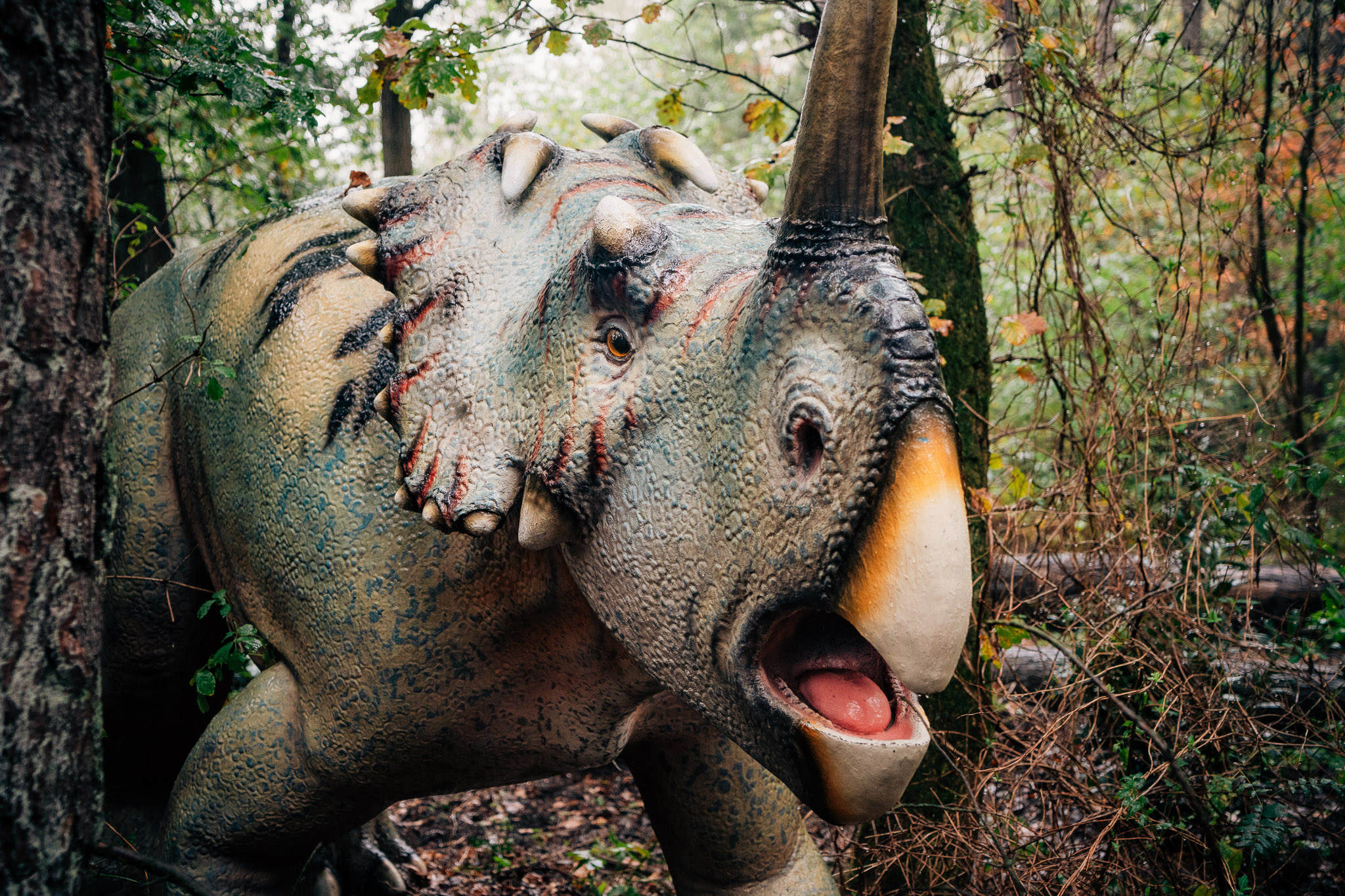 Alles over centrosaurus | DierenPark Amersfoort