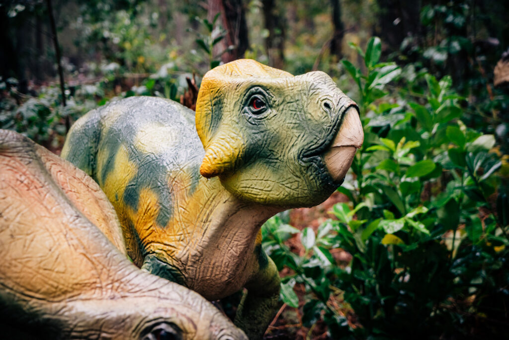 Alles over de leptoceratops | DierenPark Amersfoort