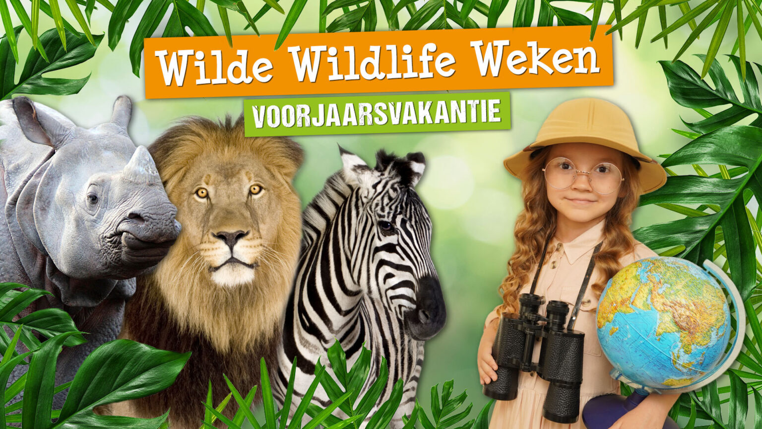 Ontdek alles over de natuur tijdens de Wilde Wildlife Weken | Blog ...
