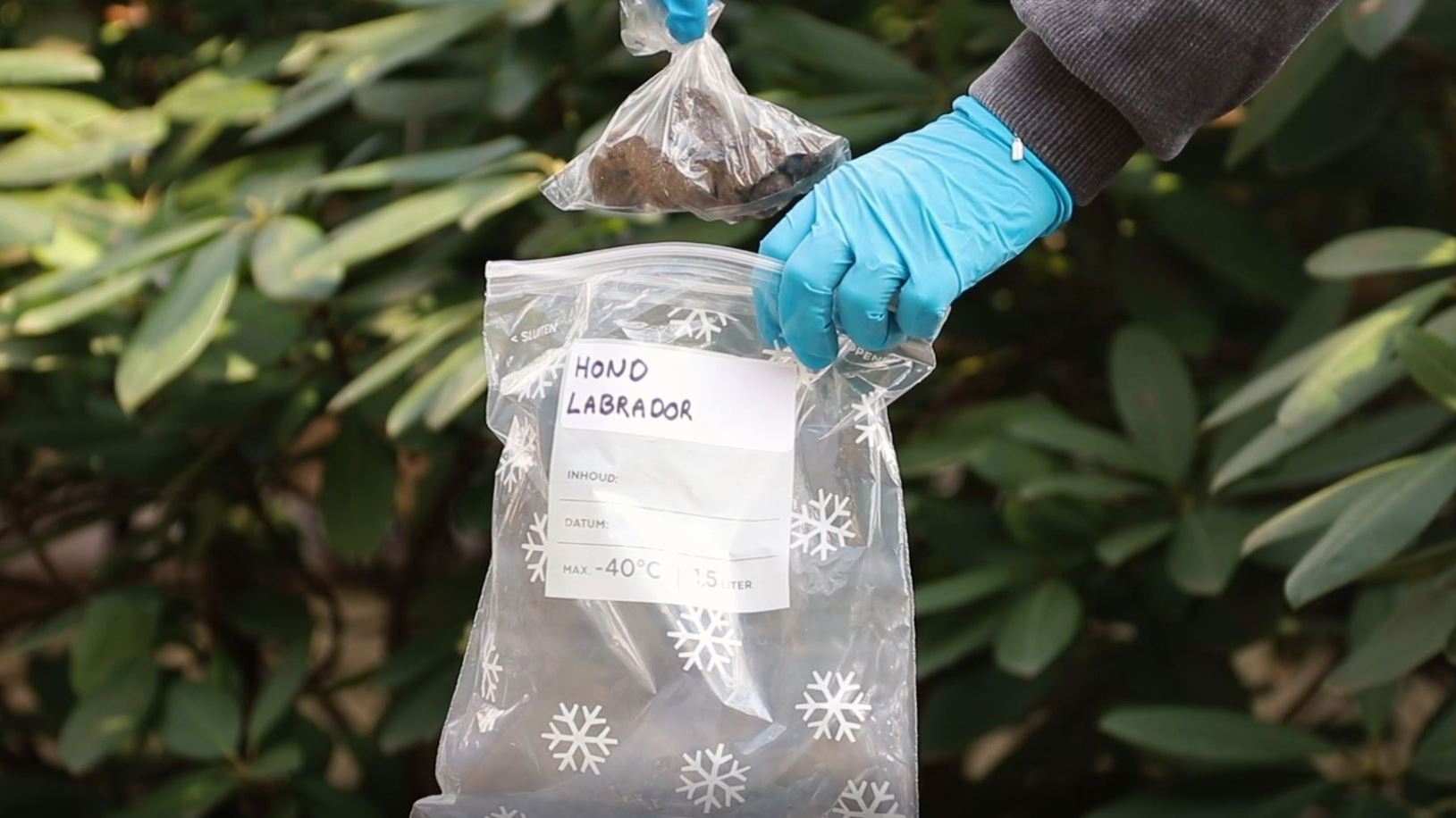 Poepactie | Meivakantie | DierenPark Amersfoort