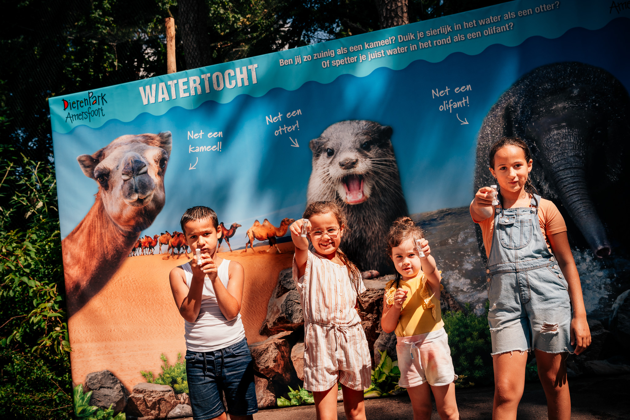 Een zomer vol Waterpret! | Blog | DierenPark Amersfoort